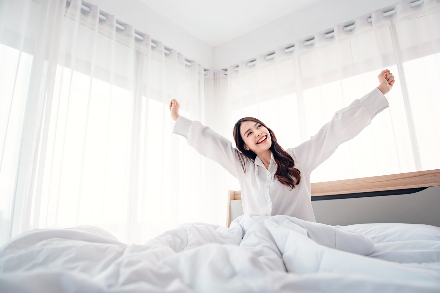 Aussino Malaysia | Bedding, Towels, Gifts, Homewares & Furniture